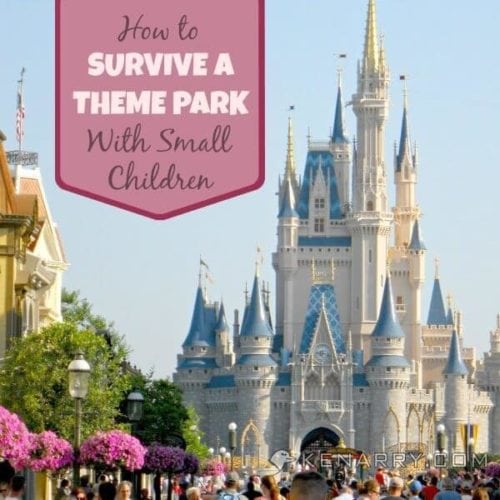 Theme Park With Small Children: 5 Survival Tips for Families