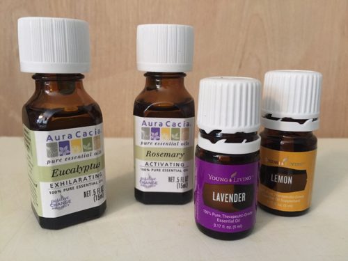DIY Bug Spray with FREE Labels for a Safe and Natural Repellent