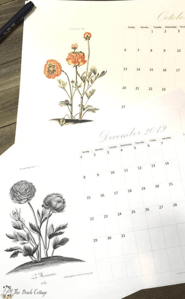 2019 Printable Monthly Calendar With Vintage Botanical Art - Ideas for ...