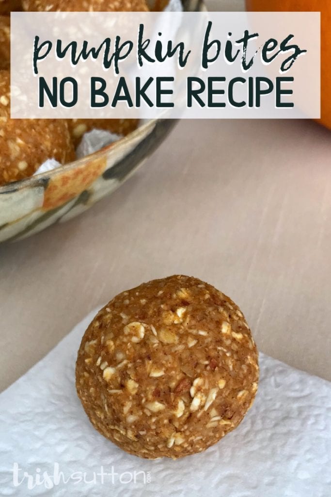 Pumpkin Bites No Bake Recipe | Family Fall Favorite