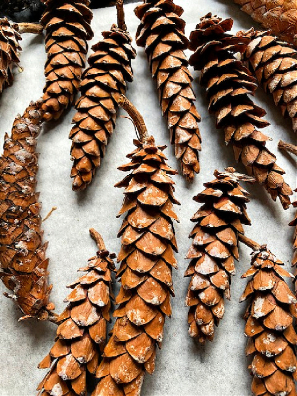 How To Preserve Pine Cones To Use For Home Decorating
