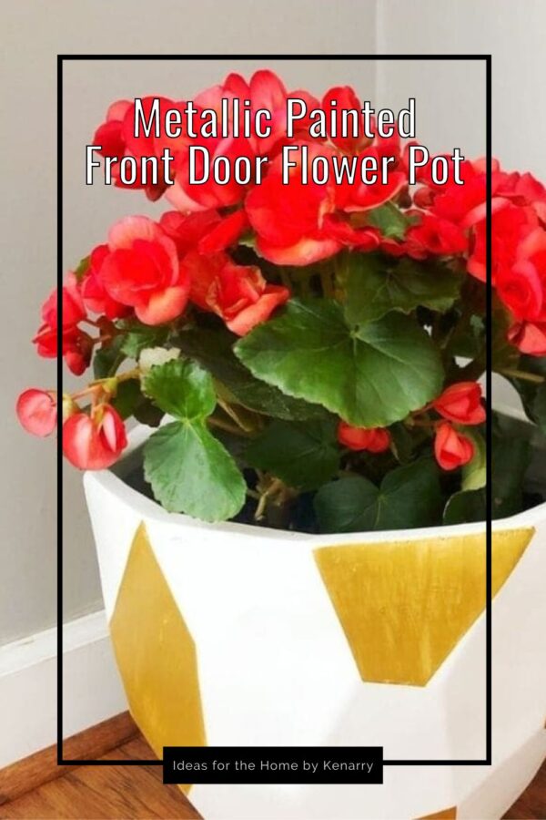 Front Door Flower Pot - Ideas for the Home